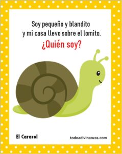 🦁 Adivinanzas de Animales para Niños 🐶🐱 | Con Dibujos y Respuestas